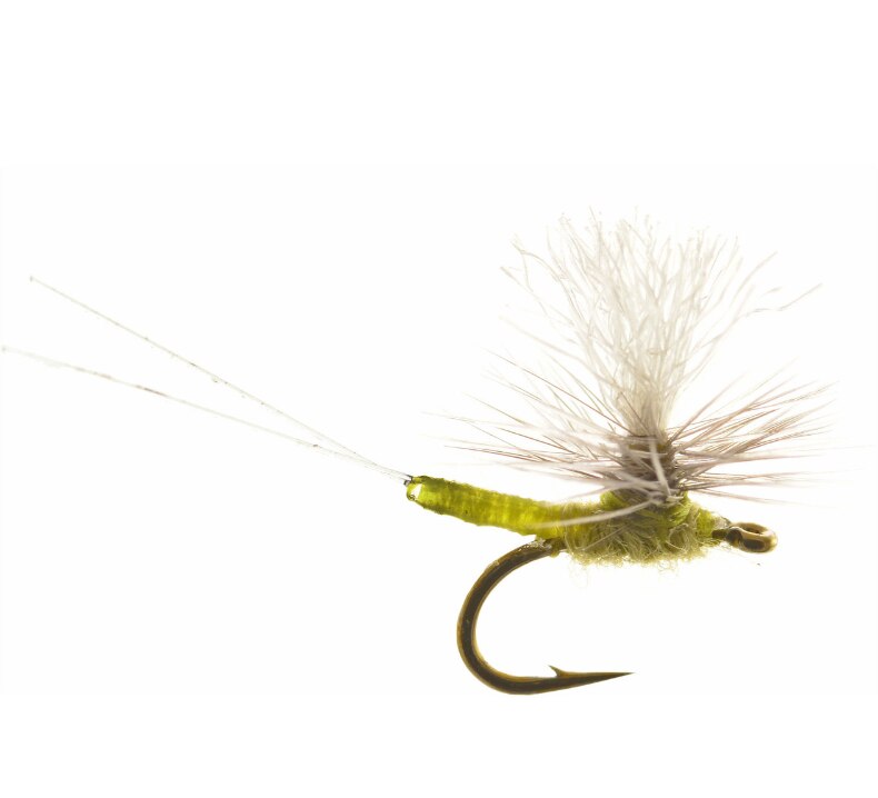 Iwane's Iwan-E Dun Para - Umpqua Fly | Anglers All