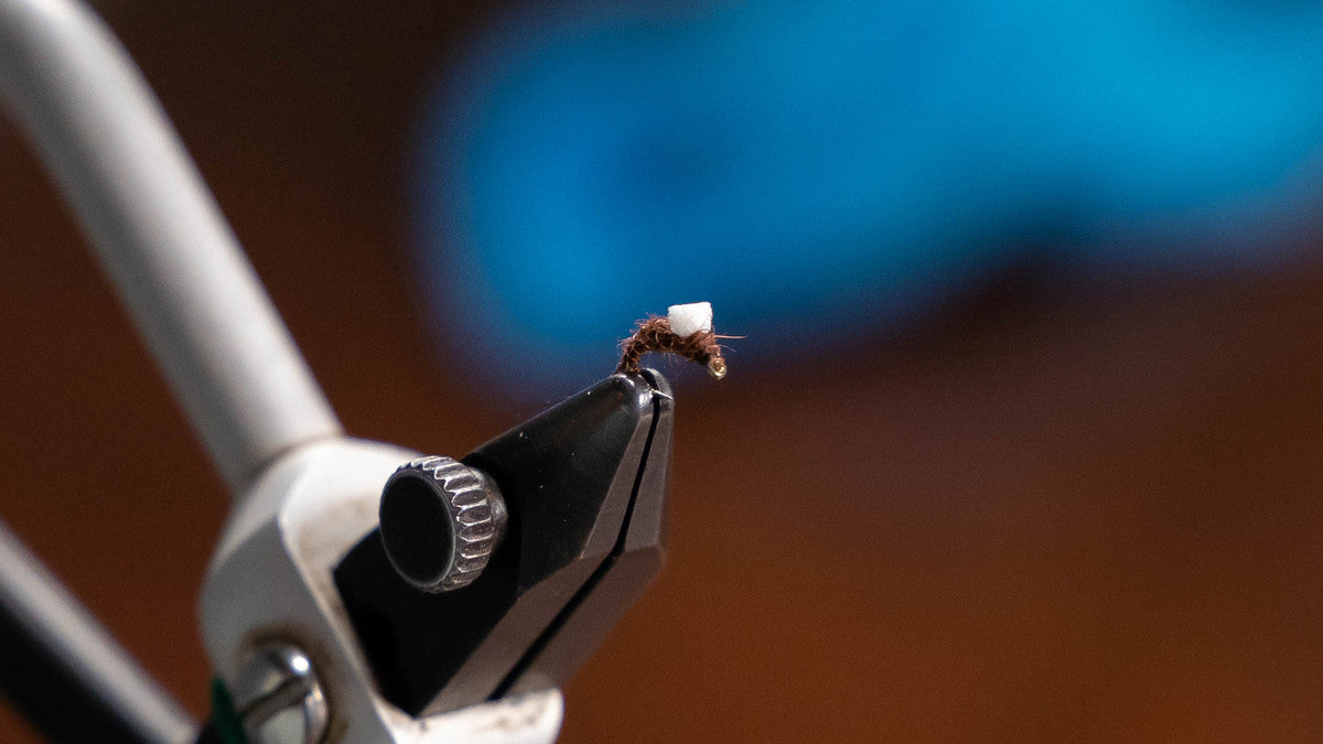 Fly Tying Video: Chocolate Foam Back Emerger – Anglers All