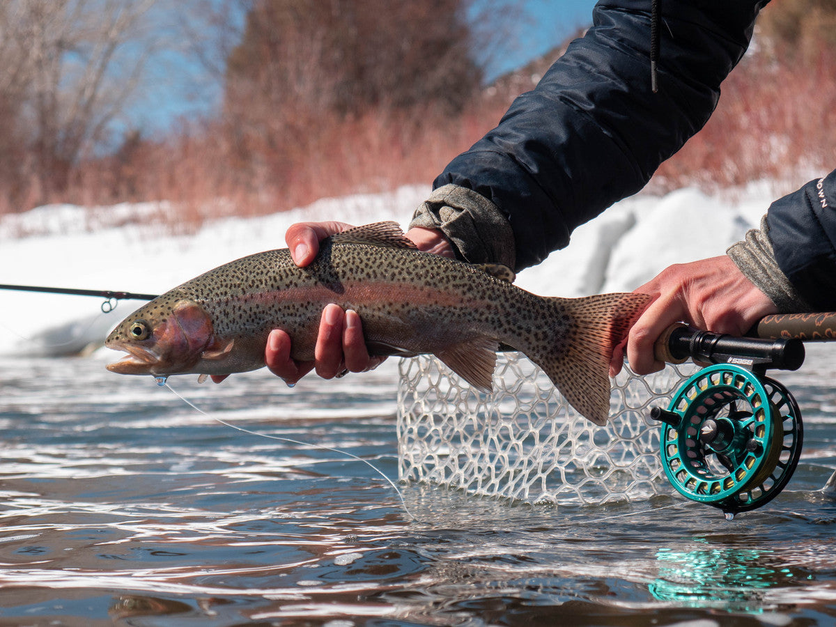 Tips for Fishing the Blue Winged Olive Hatch This Spring – Anglers All