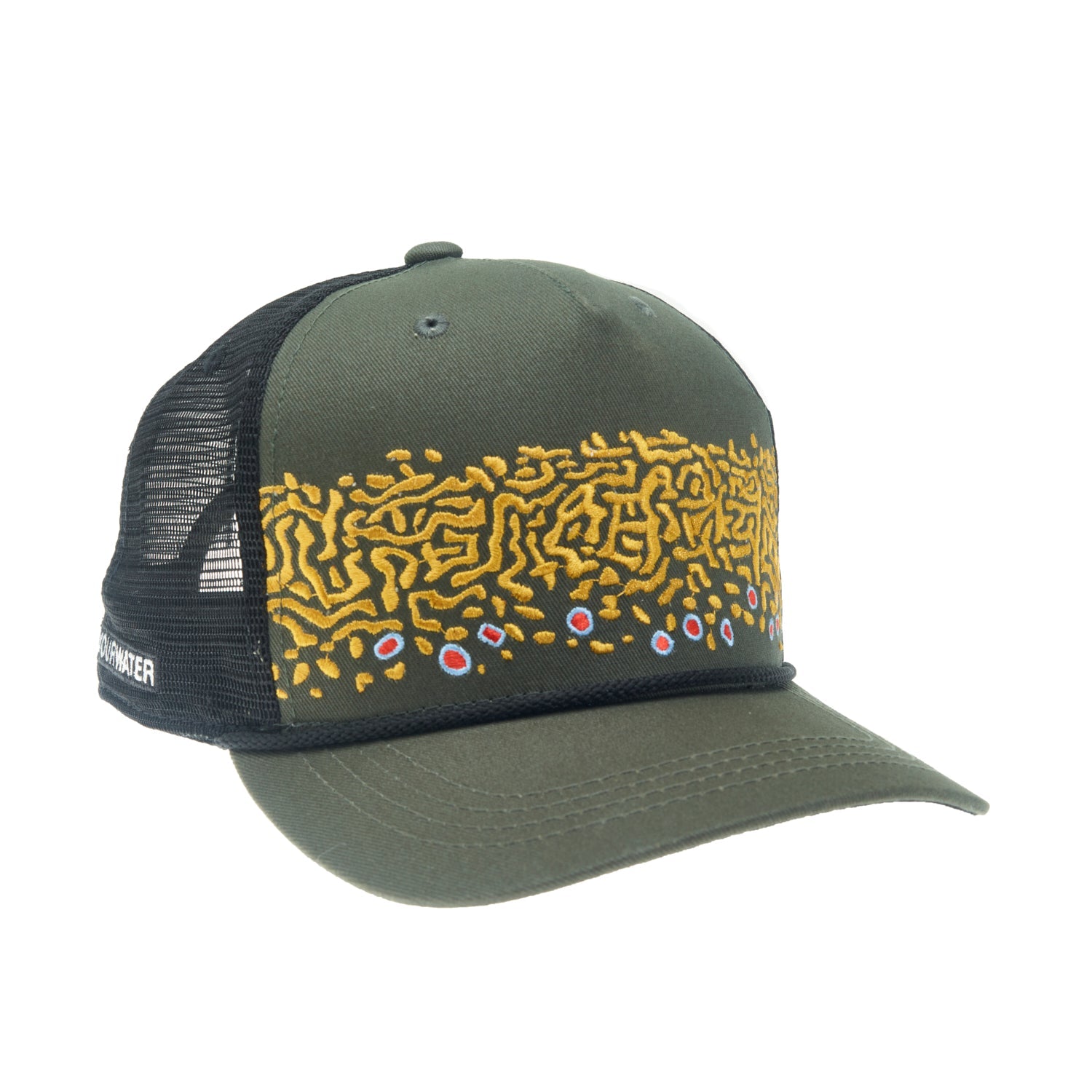 Rep Your Water Brook Trout Skin 2.0 Hat | Anglers All